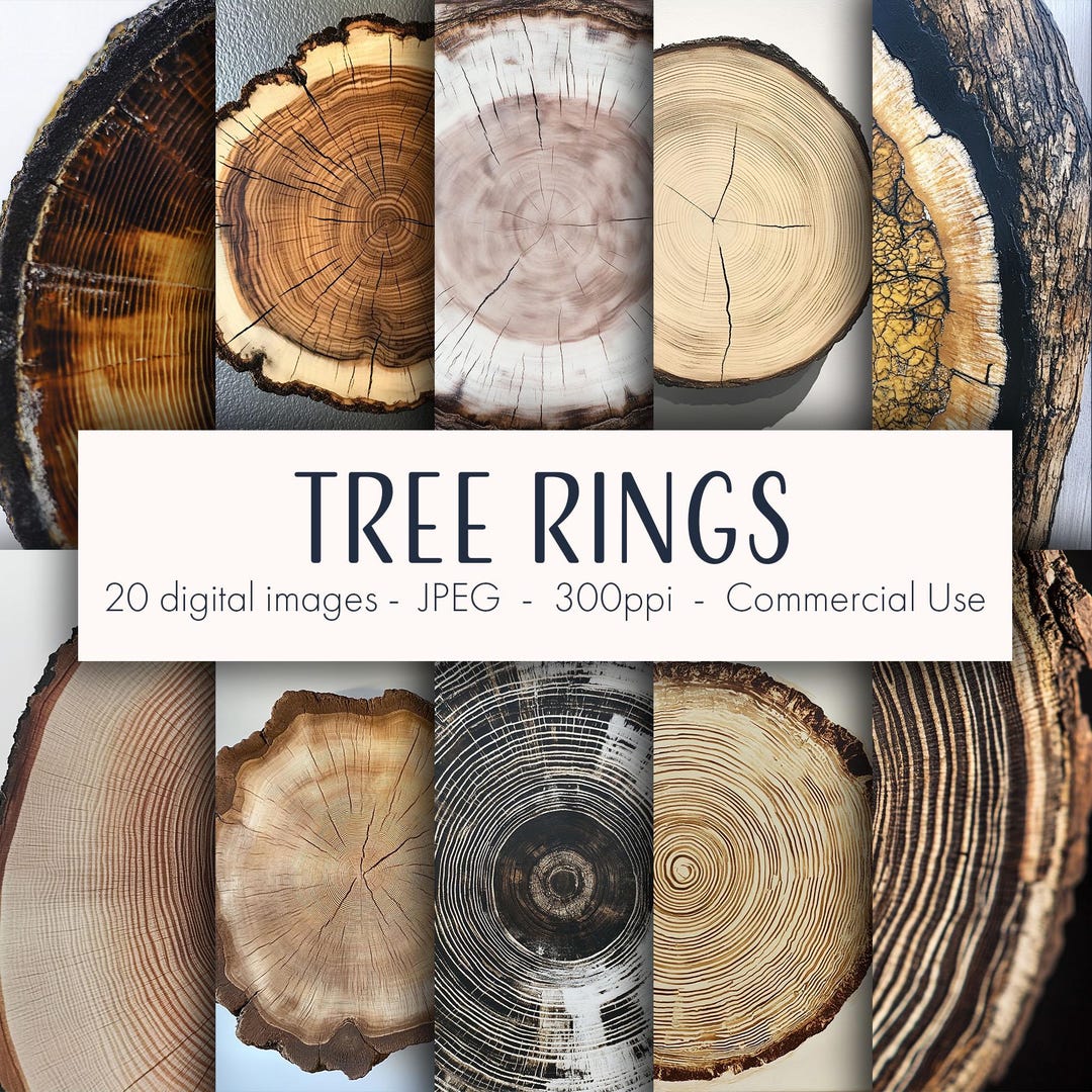 Tree Rings Digital Images, Printable Digital Paper, Instant Download ...
