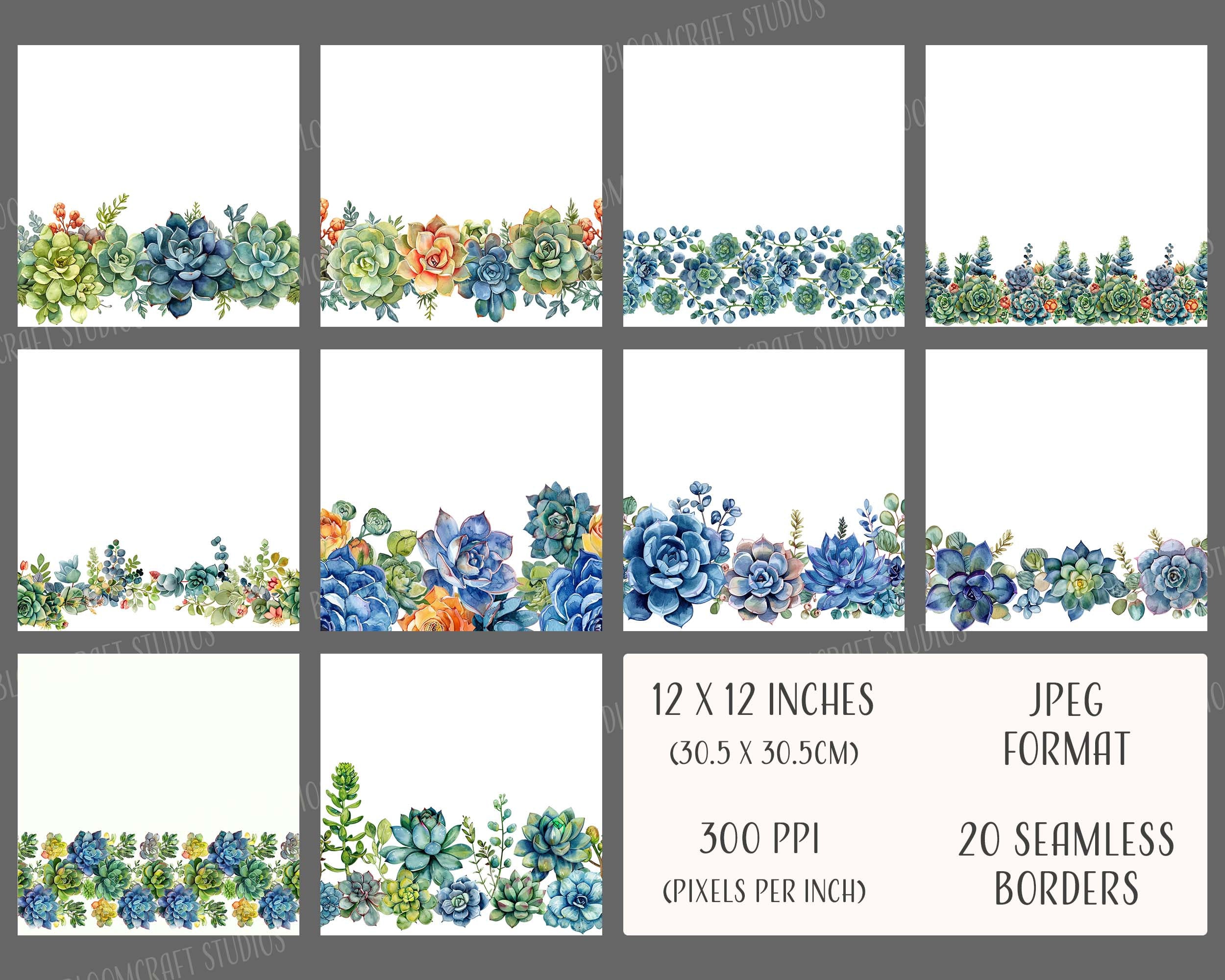 Succulent Seamless Borders, Printable Digital Paper, Commercial Use ...