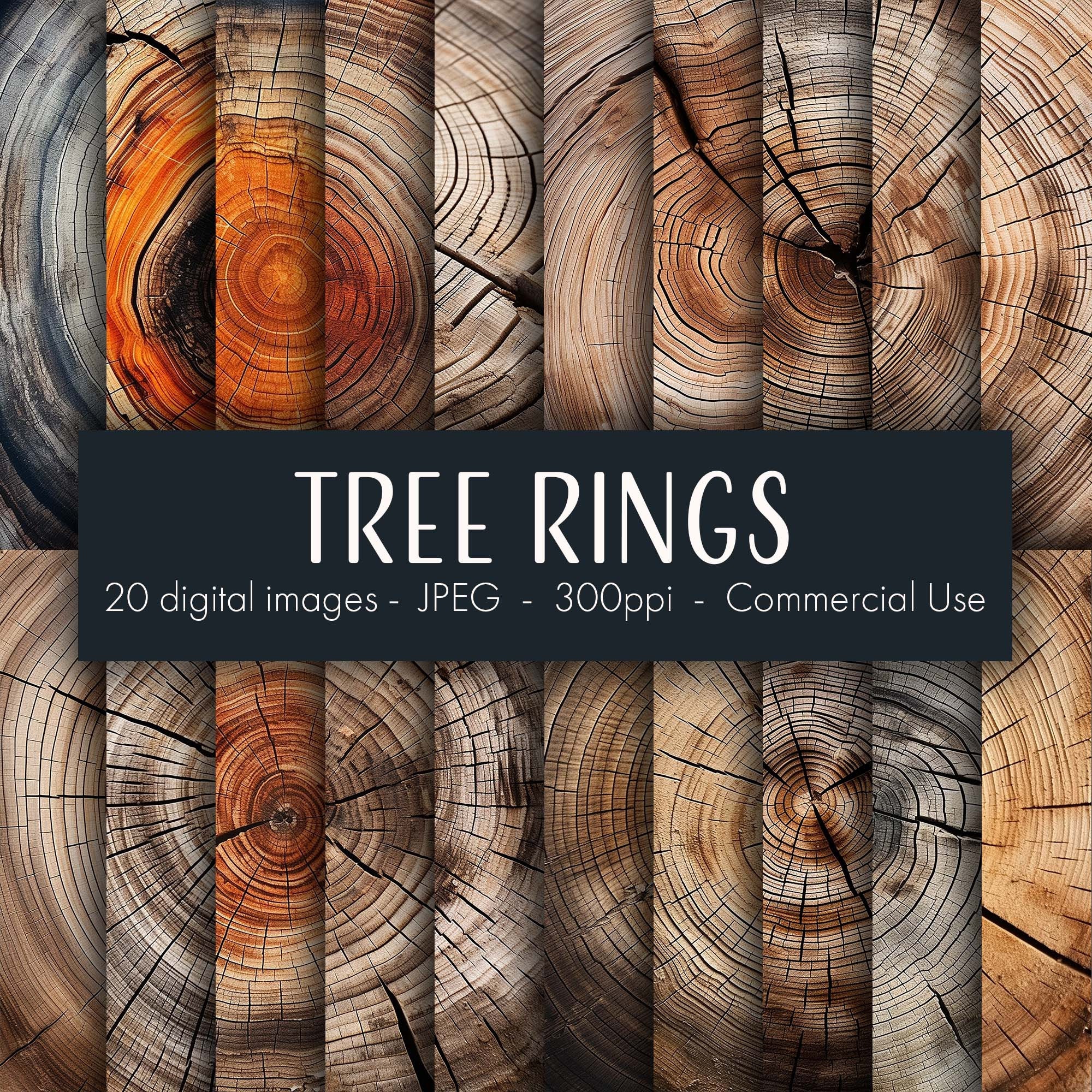Tree Ring Digital Images, Printable Digital Paper, Instant Download ...