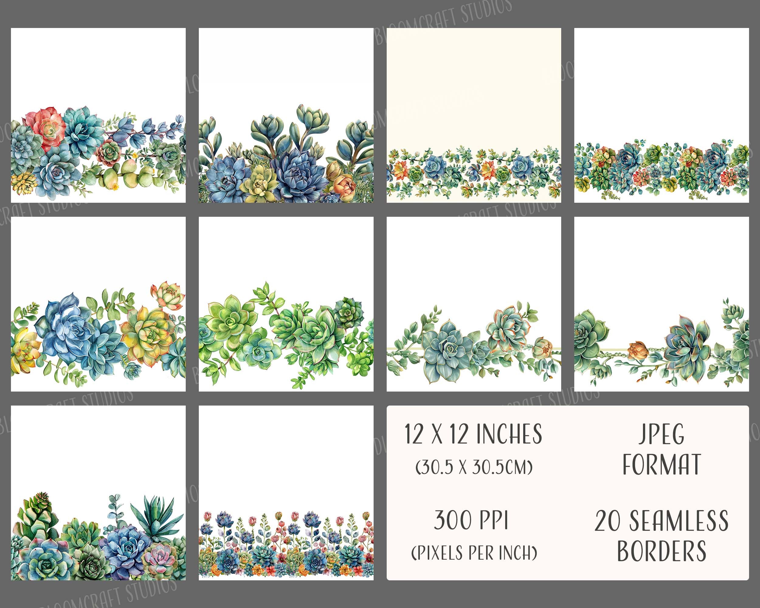 Succulent Seamless Borders, Printable Digital Paper, Commercial Use ...