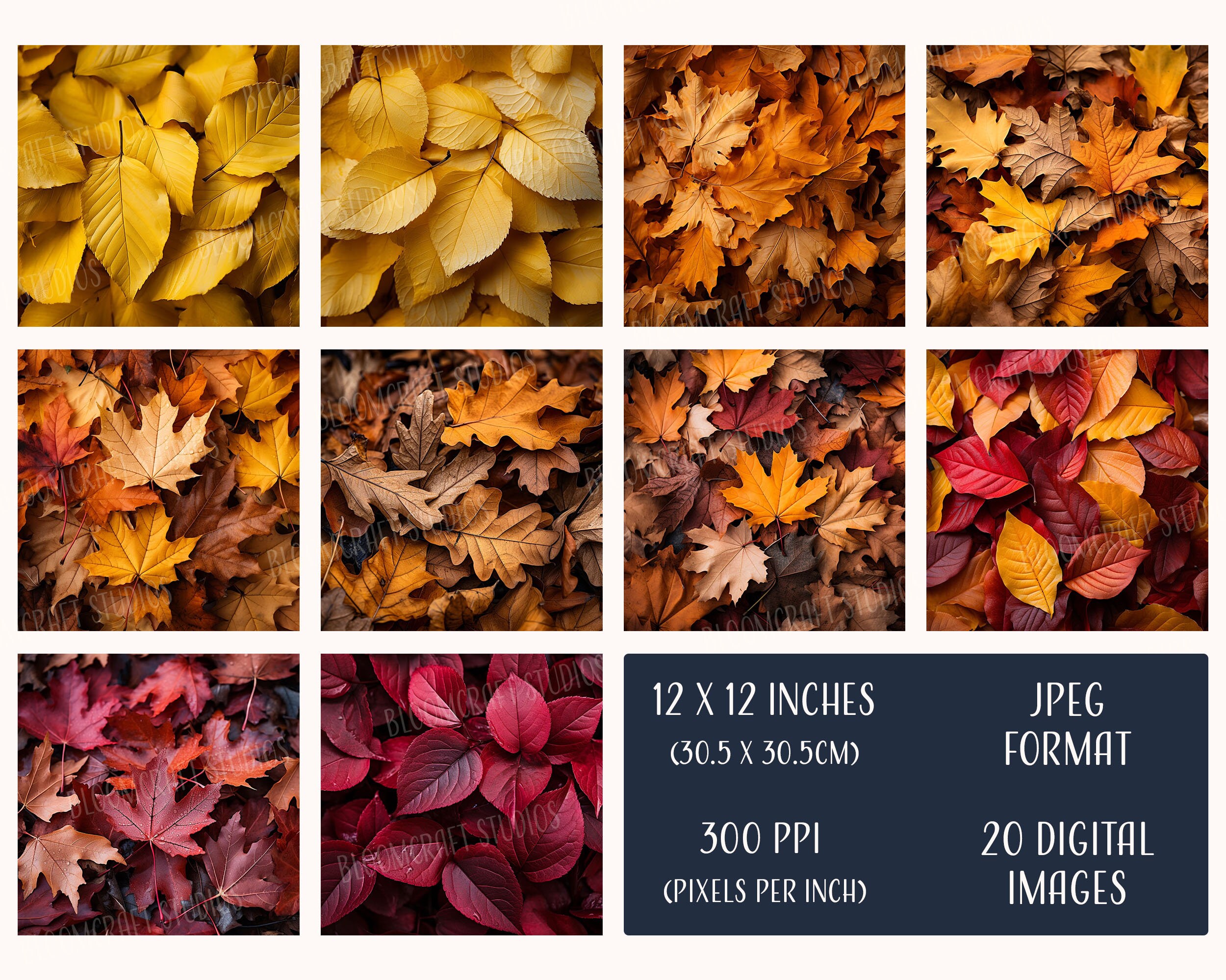 Leaves Digital Images, Printable Digital Paper, Instant Download ...