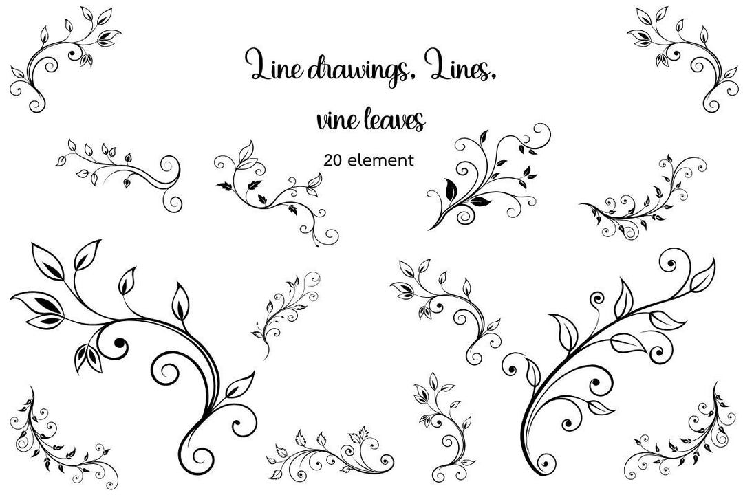 Lines, Vine Leaves, Line Art, SVG, EPS, PNG, Vector Flowers, Commercial ...