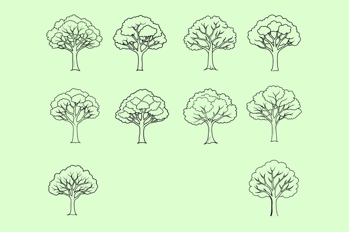 Line Drawings, Tree, Trees PNG and SVG, Commercial Use - Etsy