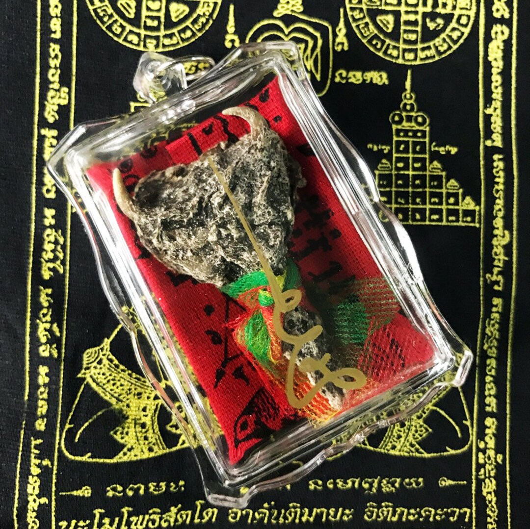 Python Reticulatus Spur Luang Pu Mun, Wat Ban Chan, Sisaket Province ...