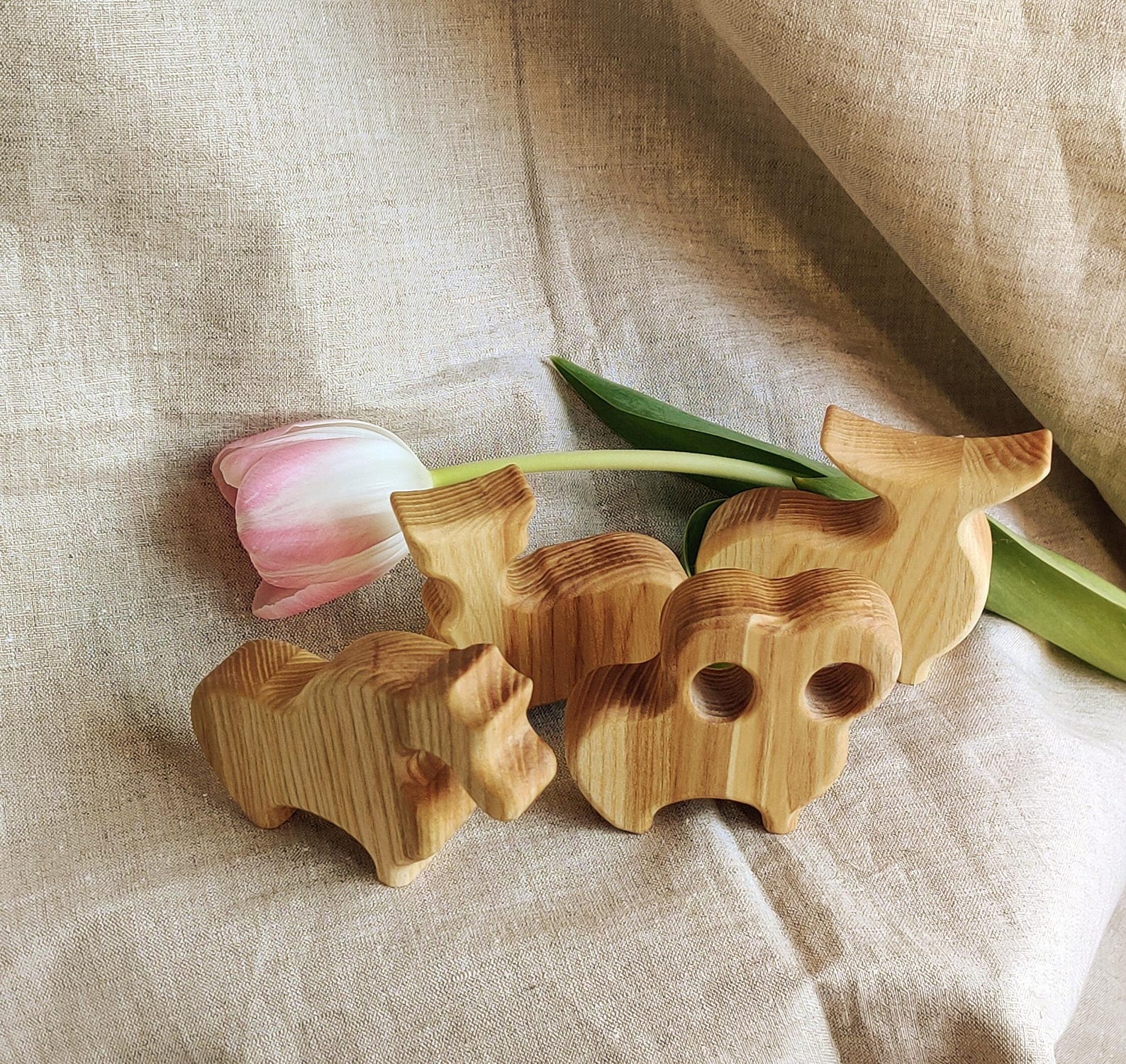 DIY Wooden Animal Set – Unfinished Ash Wood Waldorf Craft Kit - Etsy