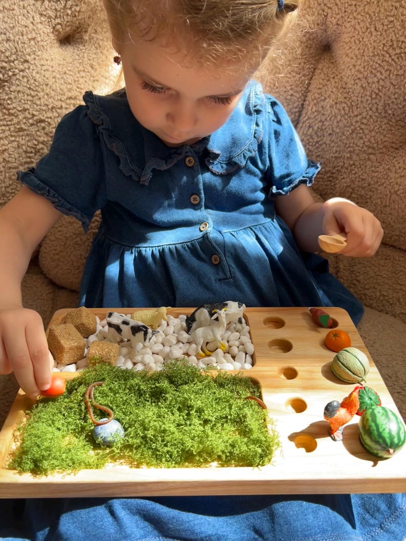 Wooden Vegetable Sorting Tray – Montessori Fine Motor Sensory Board - Etsy