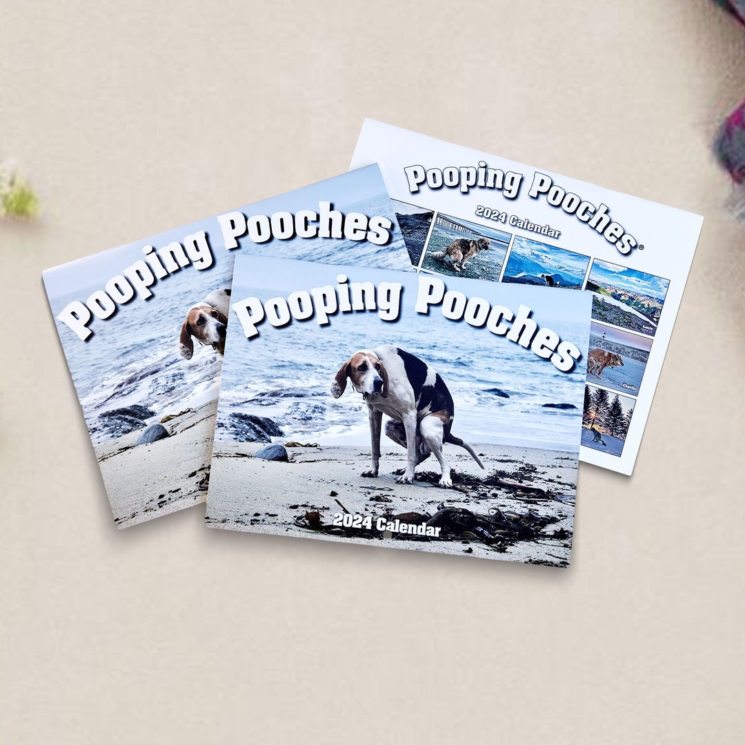 Dogs Pooping Calendar 2024, Dogs Pooping in Beautiful Places Calendar ...