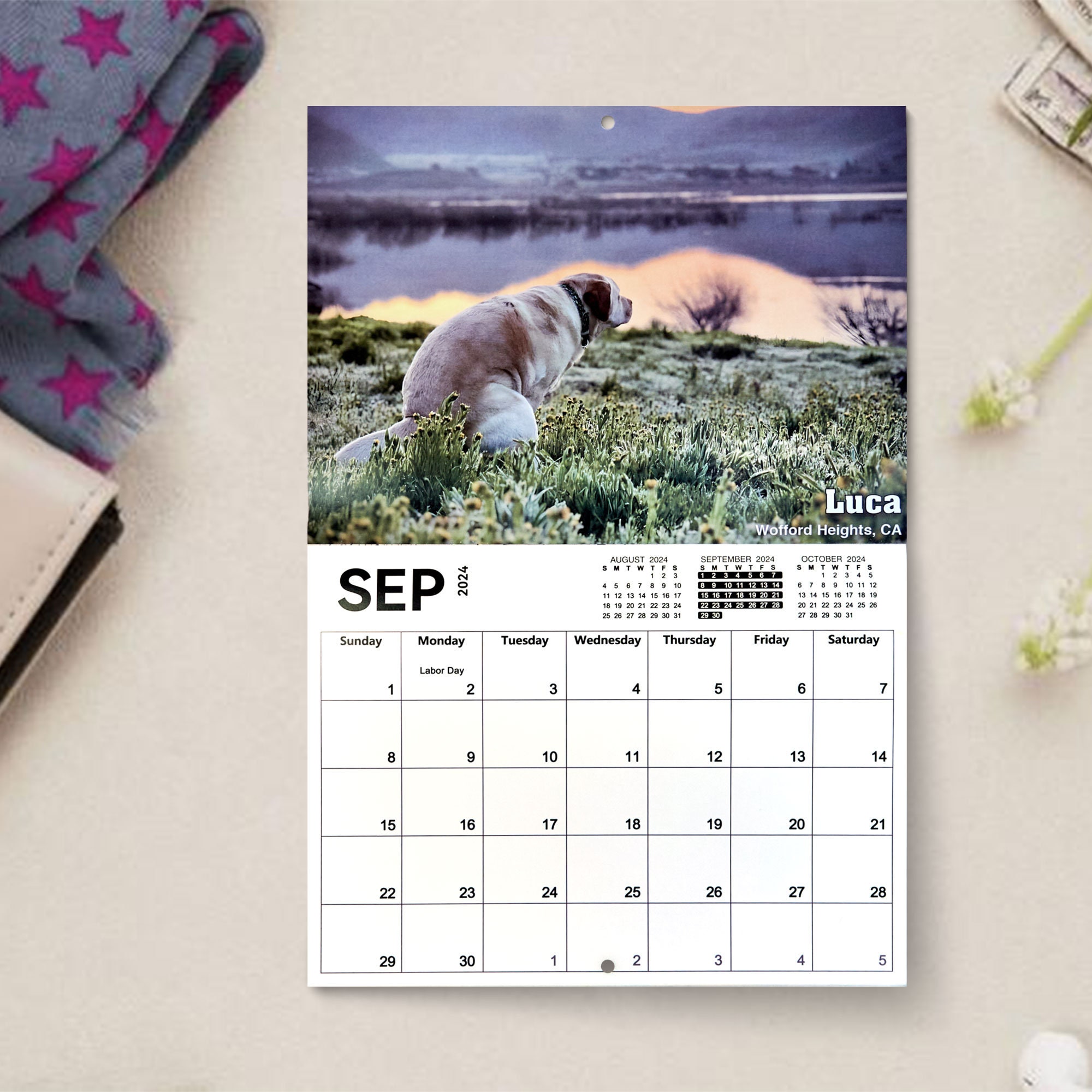 Dogs Pooping Calendar 2024, Dogs Pooping in Beautiful Places Calendar ...