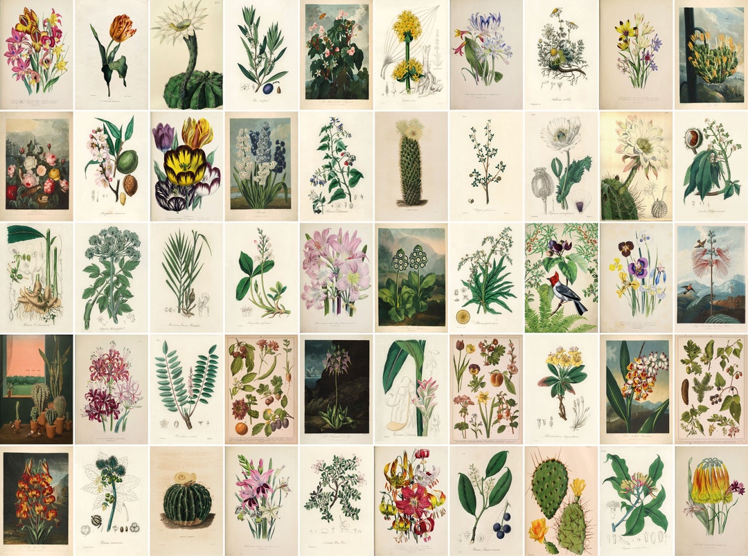 Vintage Flowers Poster Set for PRINT | Garden Kit | Aesthetic Room ...