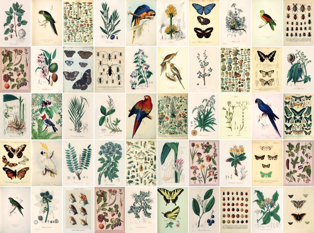 Vintage Botanical Poster Wall Collage Kit for PRINT | Garden Kit ...