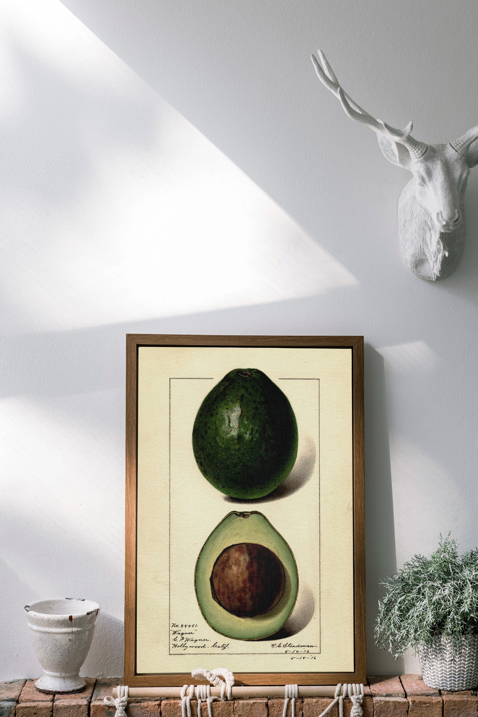 Vintage Avocado Print | Home Decor Avocado Illustration | Vintage ...