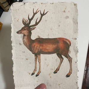 Print on Deckle Edge Paper | Recycled Paper With Natural Deckled Edges ...