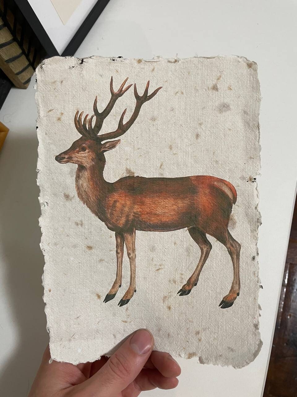 Print on Deckle Edge Paper | Recycled Paper With Natural Deckled Edges ...