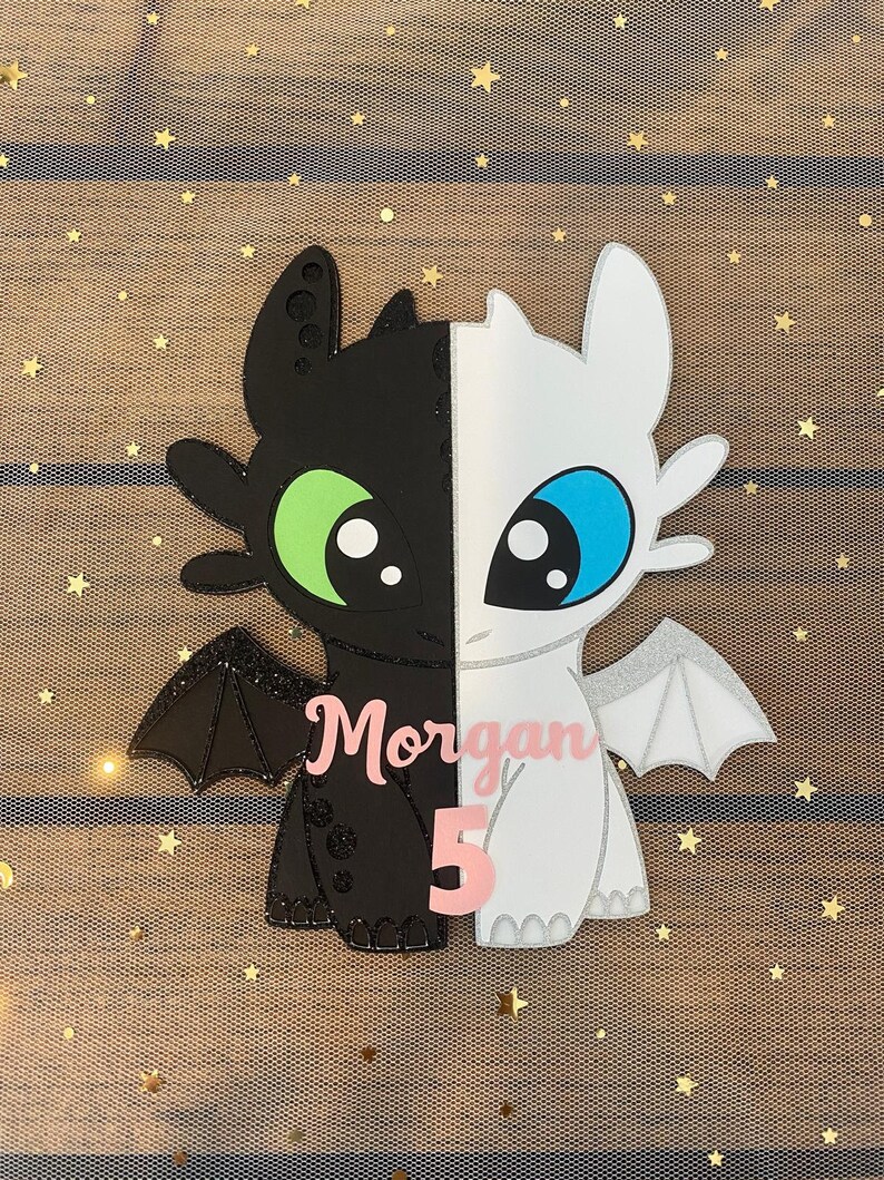 Toothless & Light Fury How to Train Your Dragon Night Fury Customizable ...