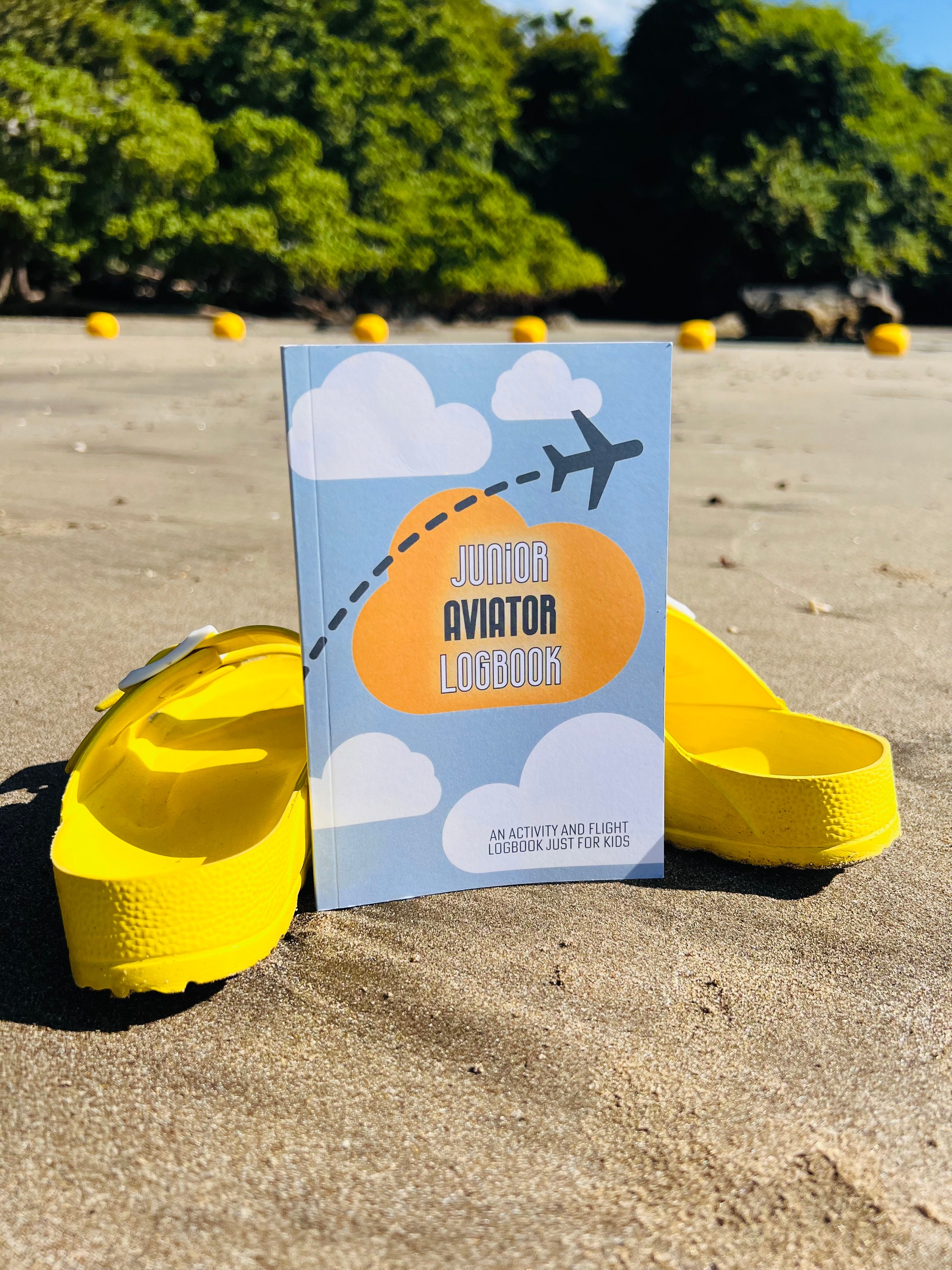 Junior Aviator Logbook: an Activity and Flight Logbook for Kids - Etsy