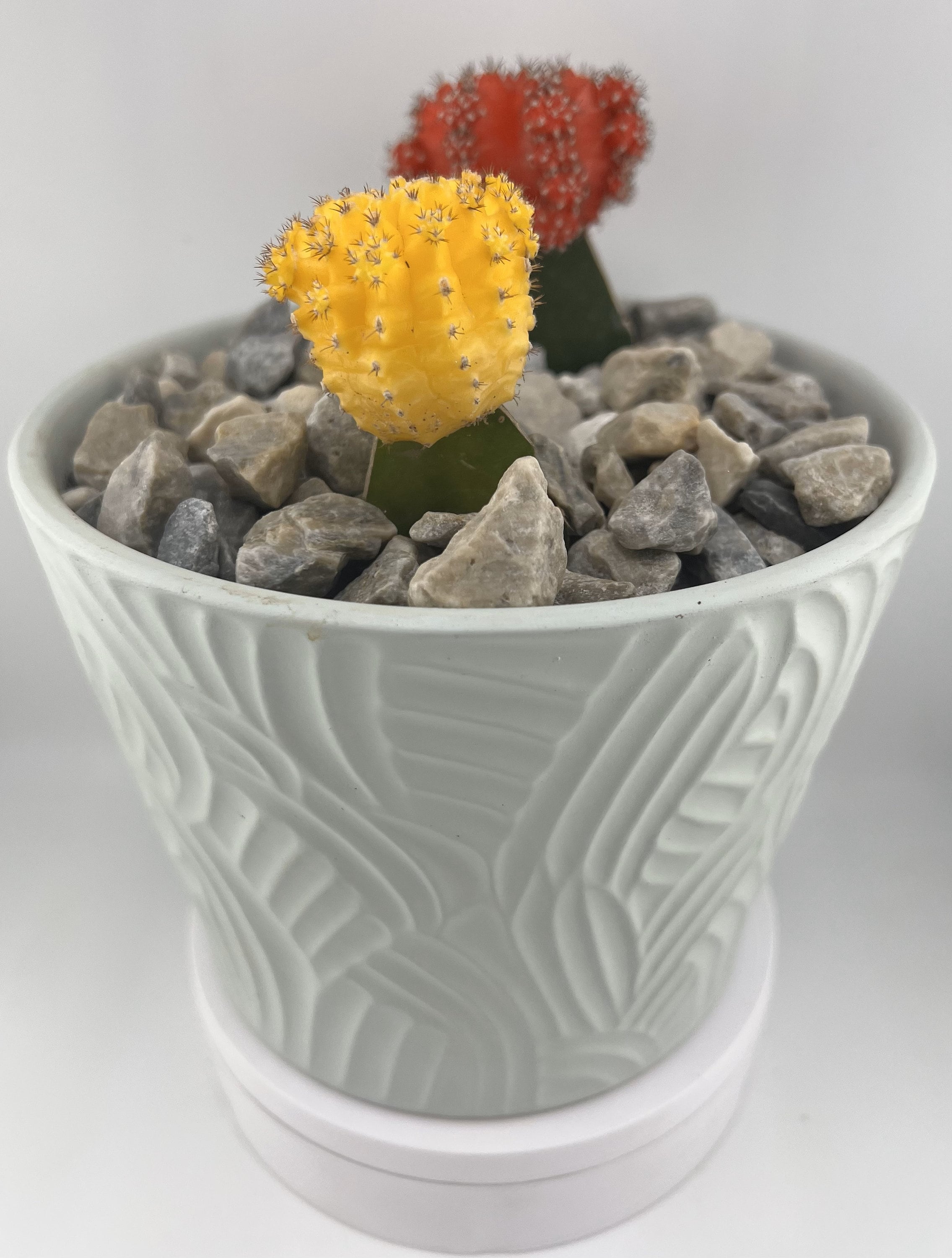 Limestone Pebbles, Decorative Stone, Used for Aquarium Rocks, Terrarium ...