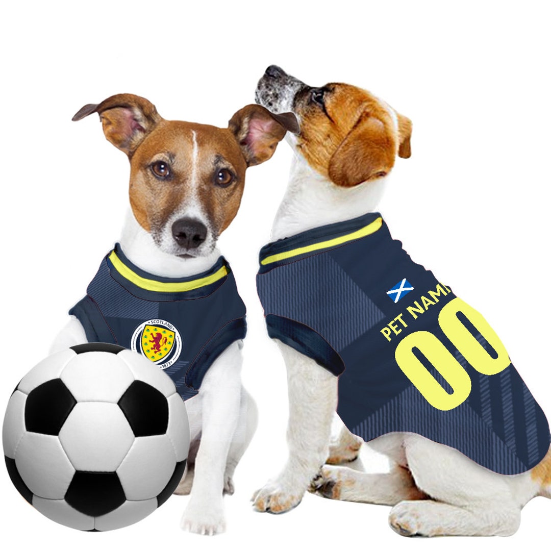 Scotland Football Euro 2024 Personalised Pet Tank Top With Original FC ...