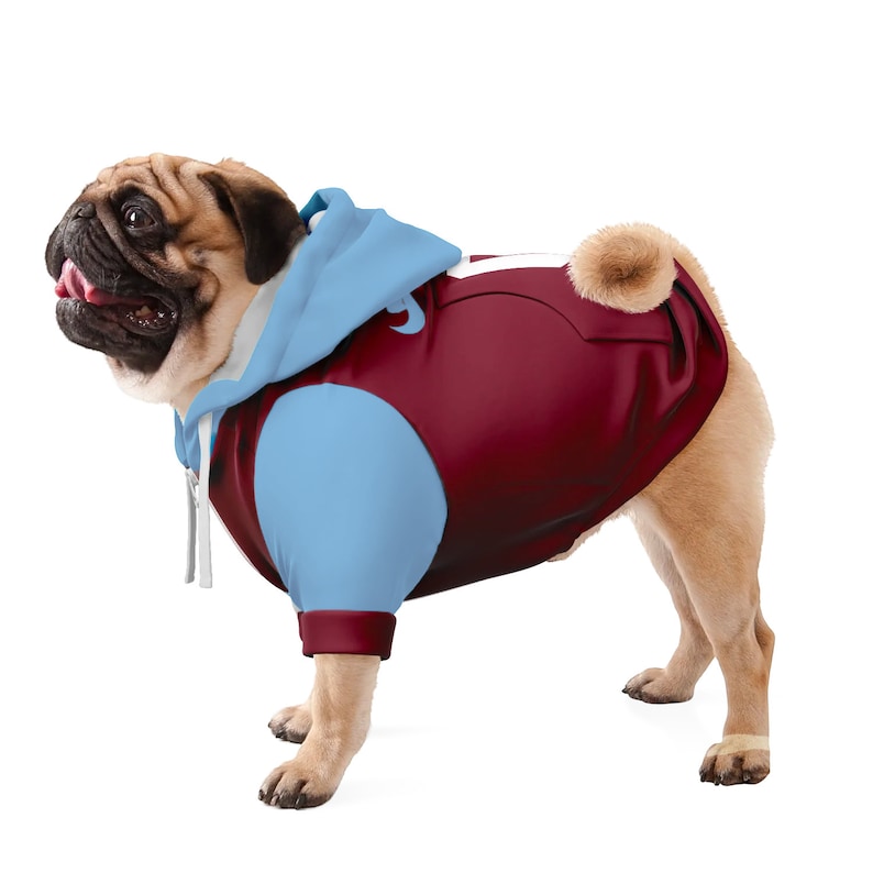 West Ham United Personalised Pet Hoodie FC 25/26 With Original FC Logo ...