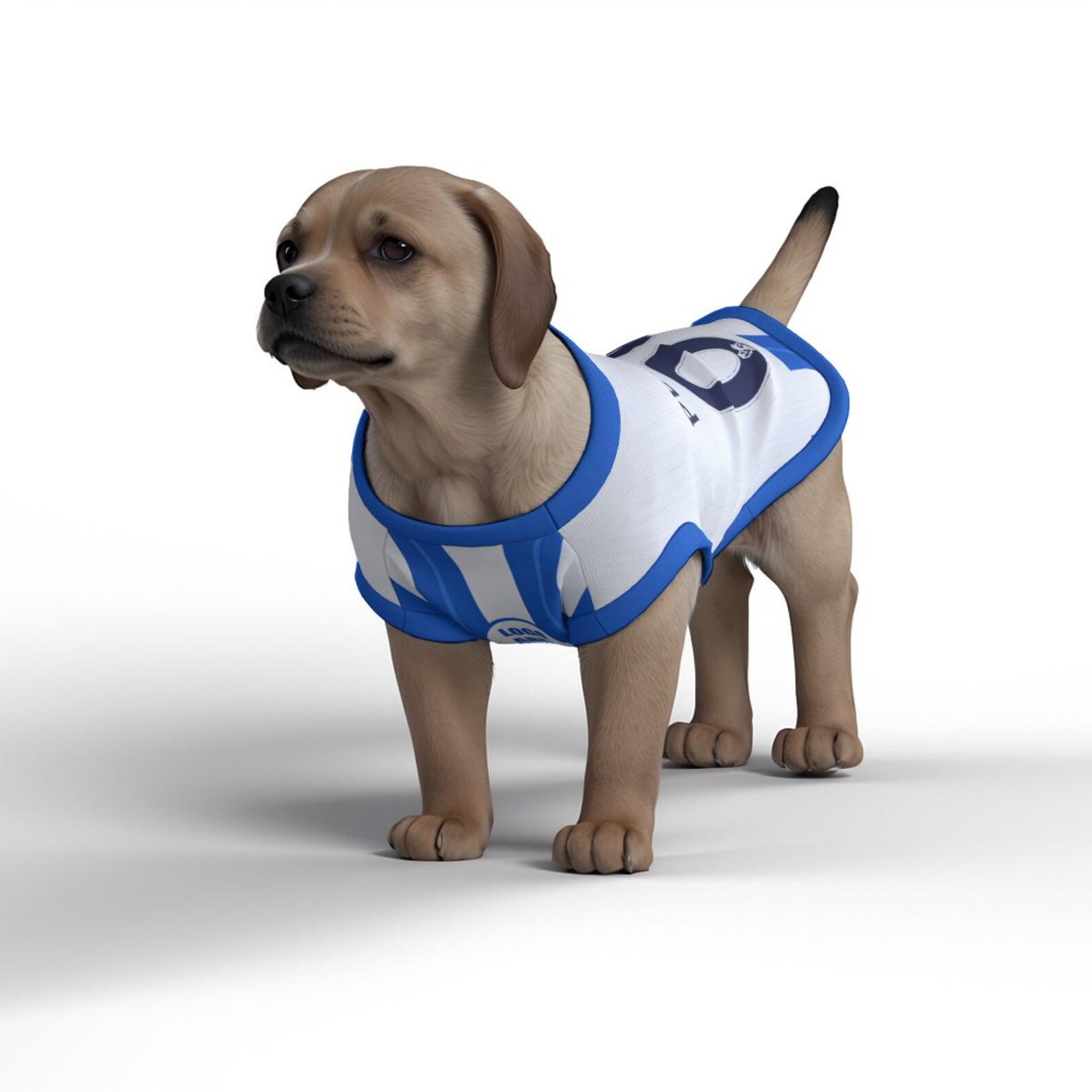 Brighton & Hove Albion FC - Personalised Pet Tank Top 25/26 With ...