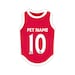 Liverpool FC -inspired Personalised Pet Tank Top With Original FC Logo ...