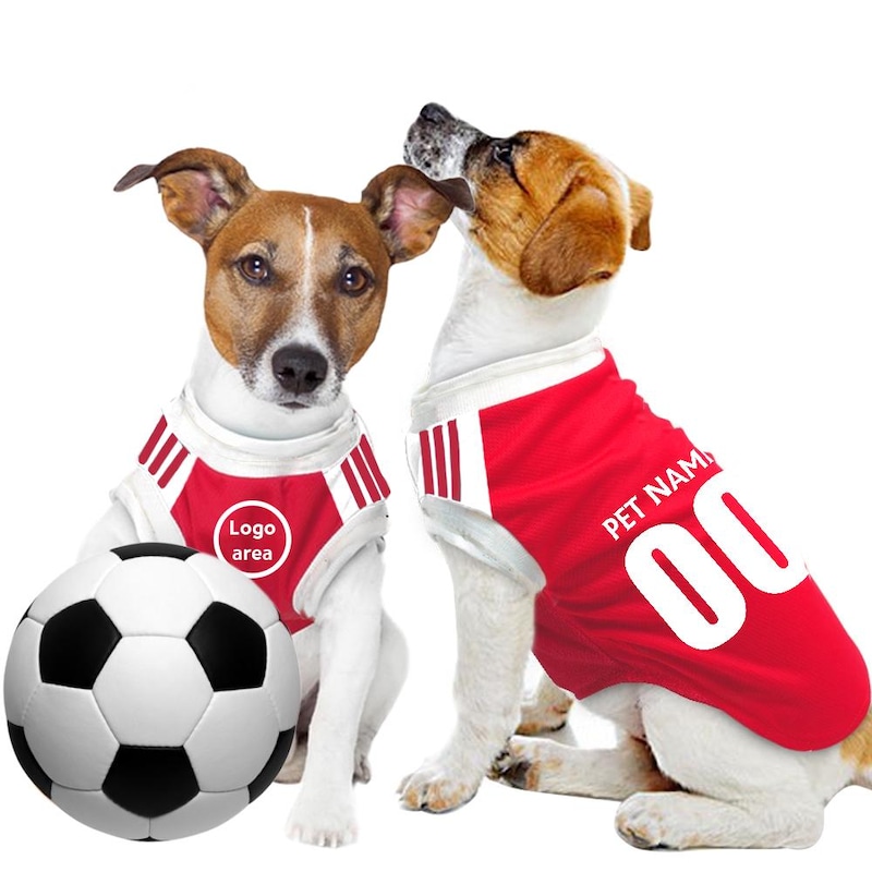 Cat Football Kit - Etsy