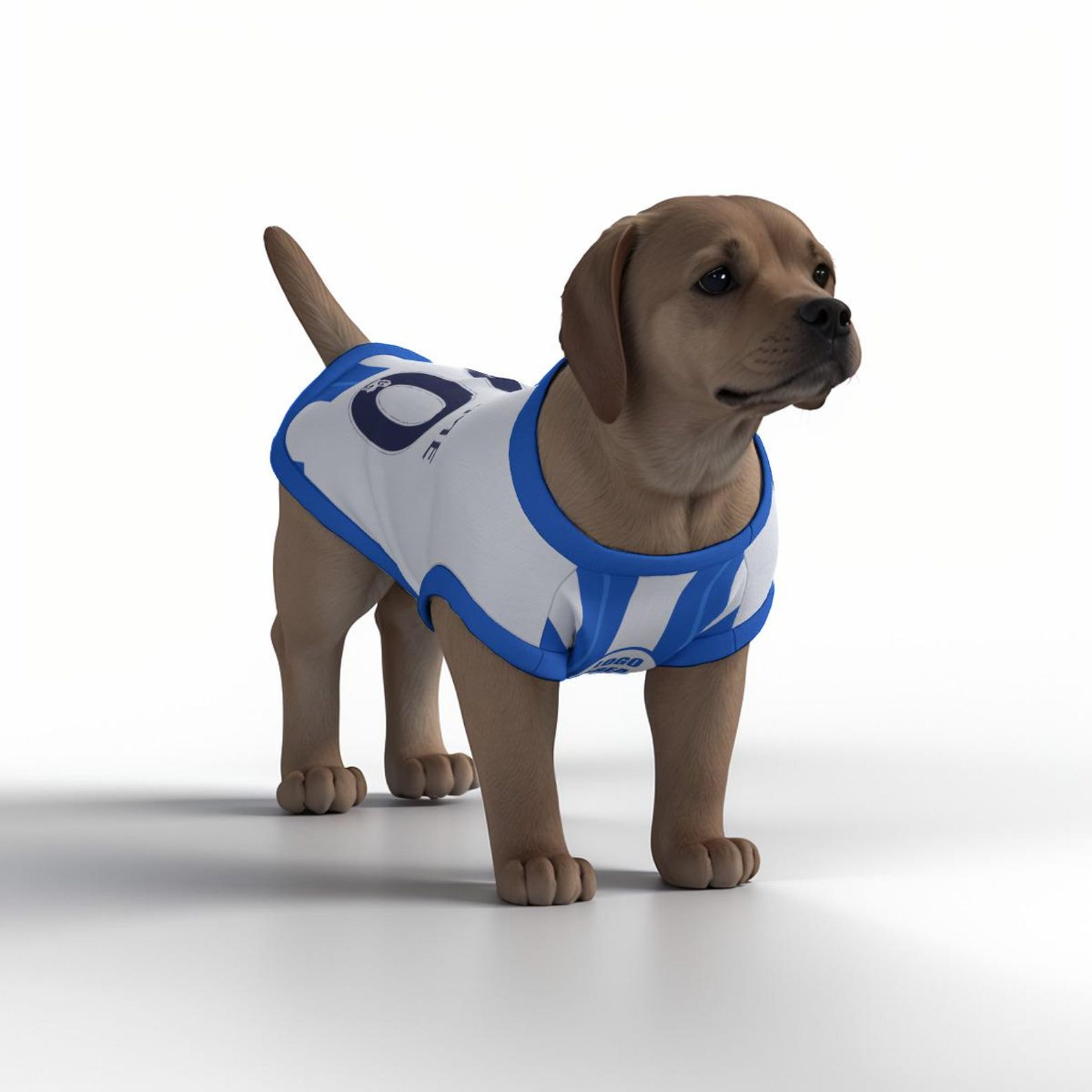 Brighton & Hove Albion FC - Personalised Pet Tank Top 25/26 With ...