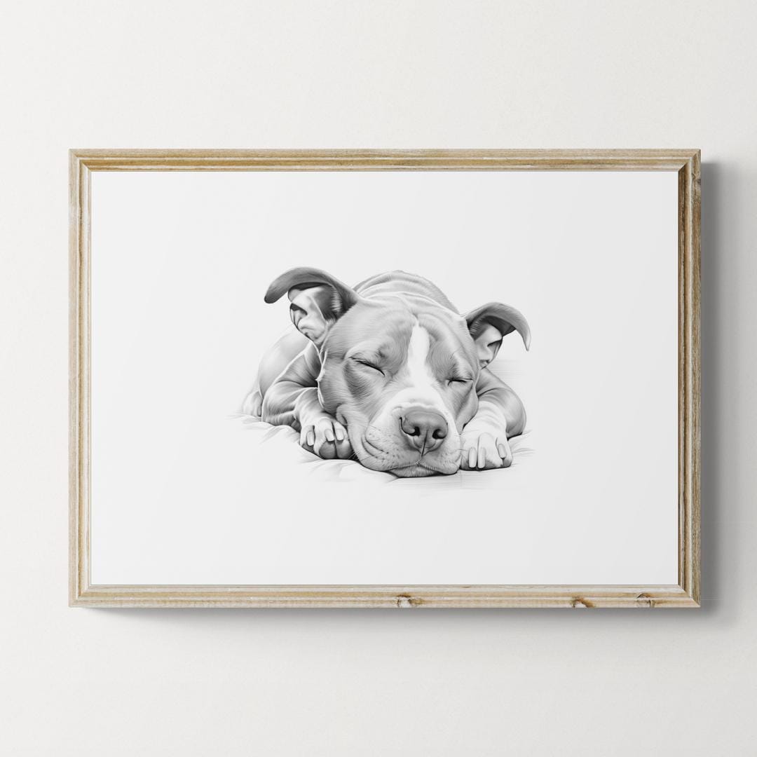 Sleeping Staffordshire Bull Terrier Print, Dog Vintage Print, Dog ...