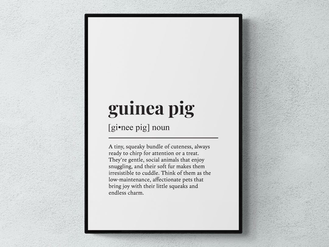 Guinea Pig Funny Definition Pet Gift Wall Art Print - Etsy