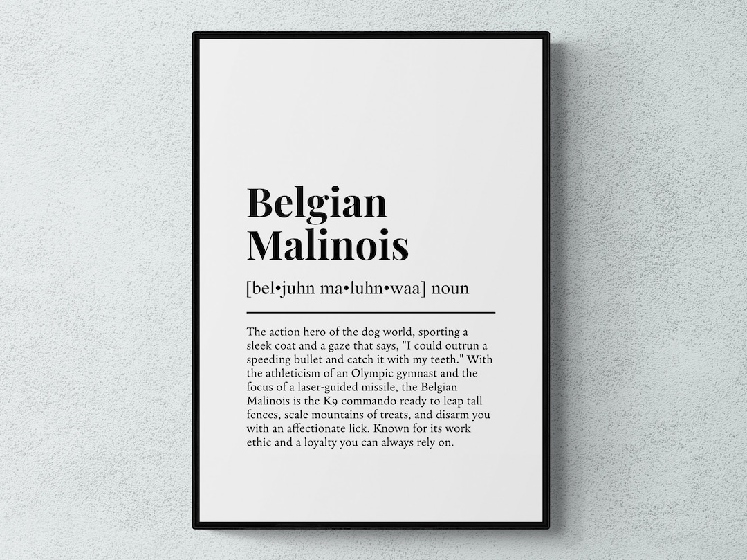 Belgian Malinois Definition Print, Funny Pet Wall Art, Dog Gift ...