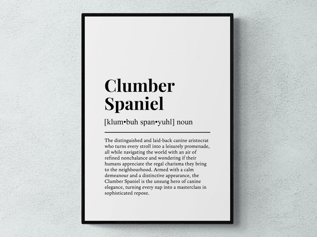 Clumber Spaniel Definition Print, Funny Pet Wall Art, Dog Gift ...