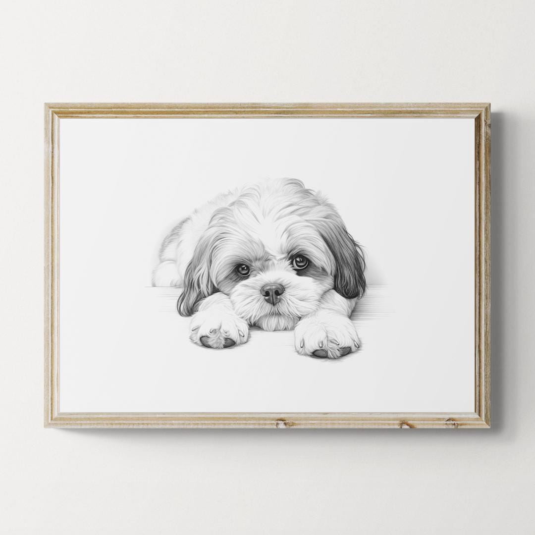 Shih Tzu Print, Cute Dog Vintage Print, Dog Sketch, Farmhouse Decor ...