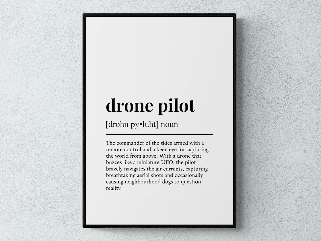 Drone Pilot Funny Definition Job Work Gift Wall Art Print - Etsy UK