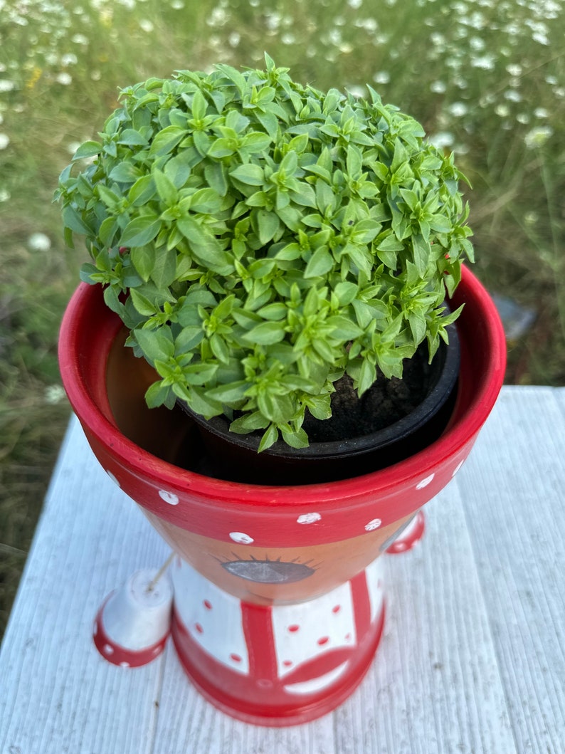 Handmade Decorative Planter | Custom Painted Pot | Unique Garden Decor ...