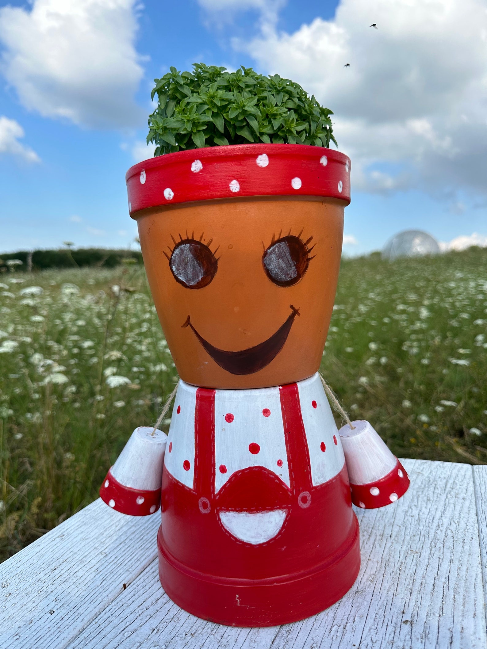 Handmade Decorative Planter | Custom Painted Pot | Unique Garden Decor ...