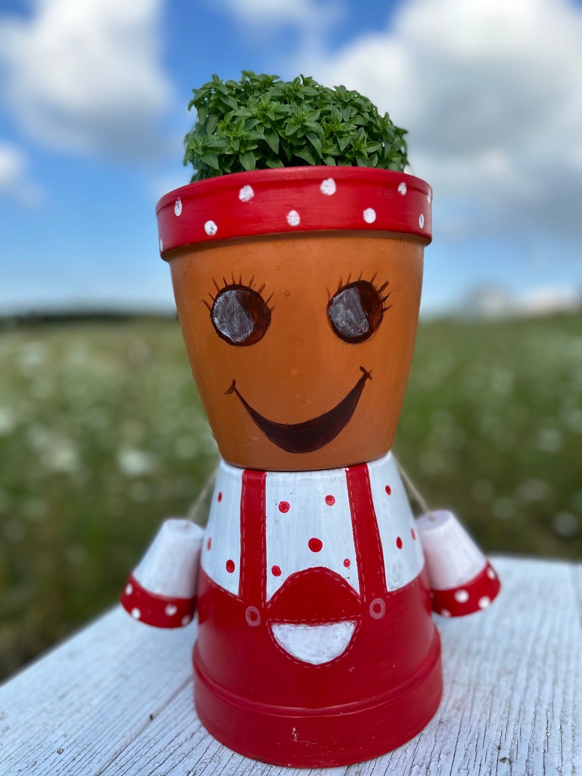 Handmade Funny Face Planter: Custom Painted Garden Decor - Etsy