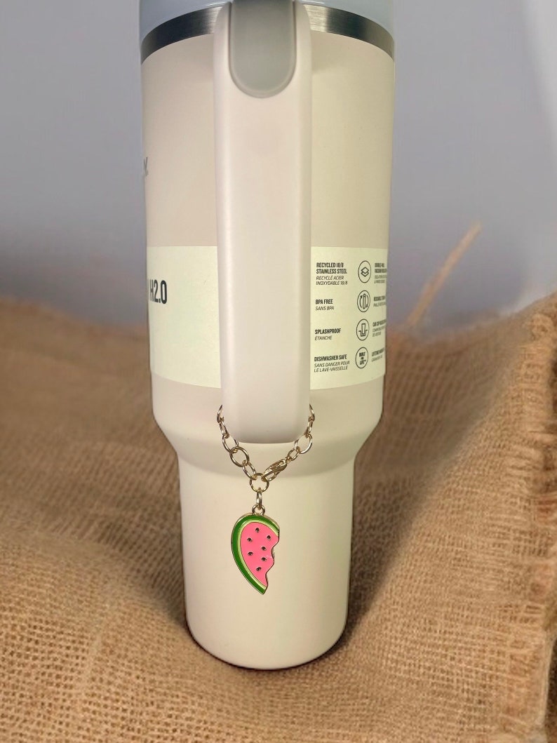 Tumbler Charm - BFF Watermelon - Handle Charm - Stanley - Hydrojug ...