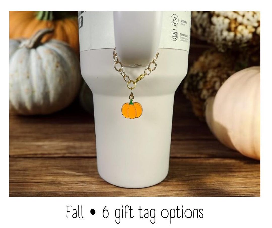 Tumbler Charm - Pumpkin - Handle Charm - Stanley - Hydrojug - Owala ...