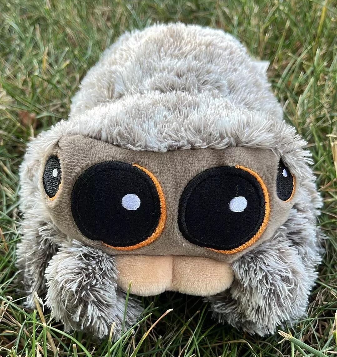 Lucas the Spider 6 Plush Stuffed Animal - Etsy