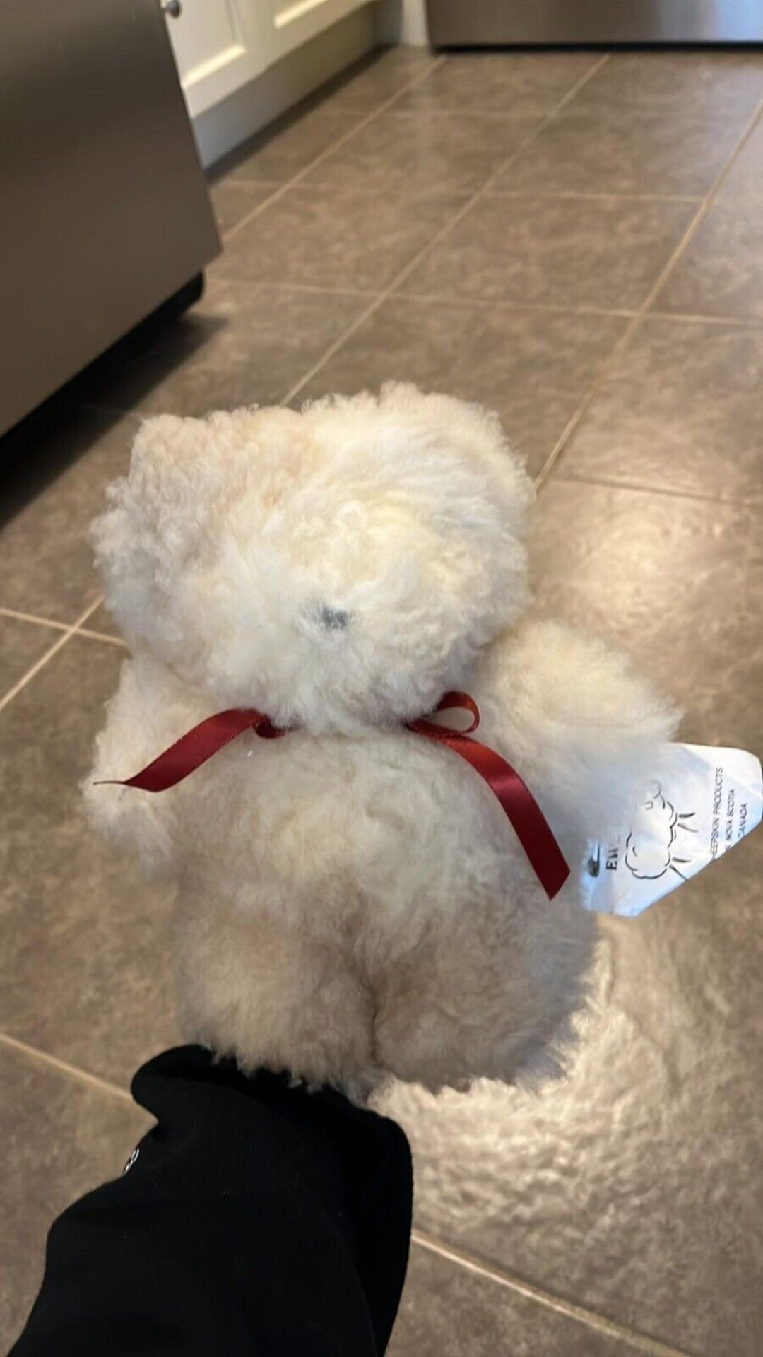 Ewe Wear Sheepskin Teddy Bear Plush Toy Soft 8 Inches - Etsy