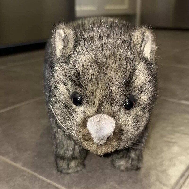 Wombat Toy - Etsy
