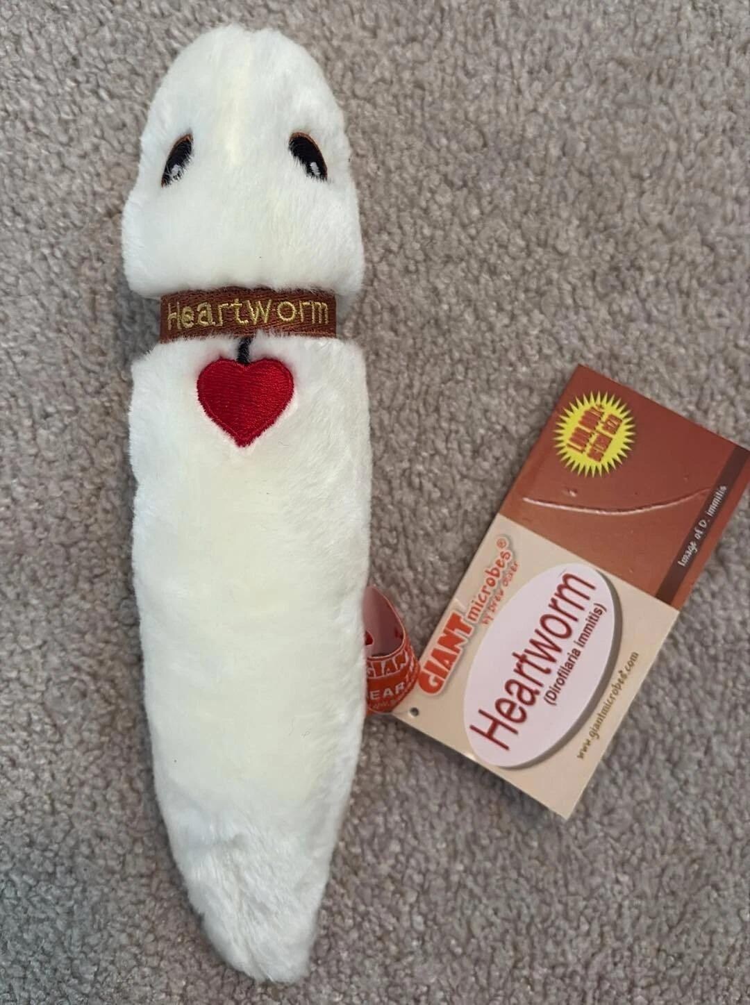 Giant Microbes-heart Round Worm-stuffed Plush Dog Canine Parasite - Etsy