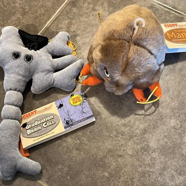 Giant Microbes Plush - Etsy