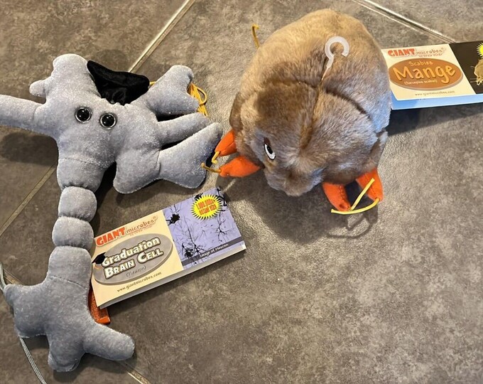 Giant Microbes Educational Disease Plush Scabies and Brain Cell - Etsy