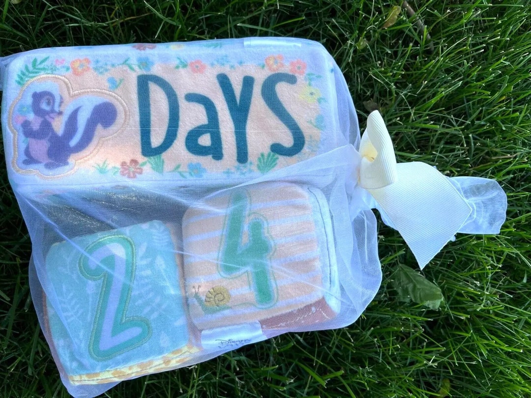 Disney Baby Bambi Milestone Plush Baby Blocks - Etsy