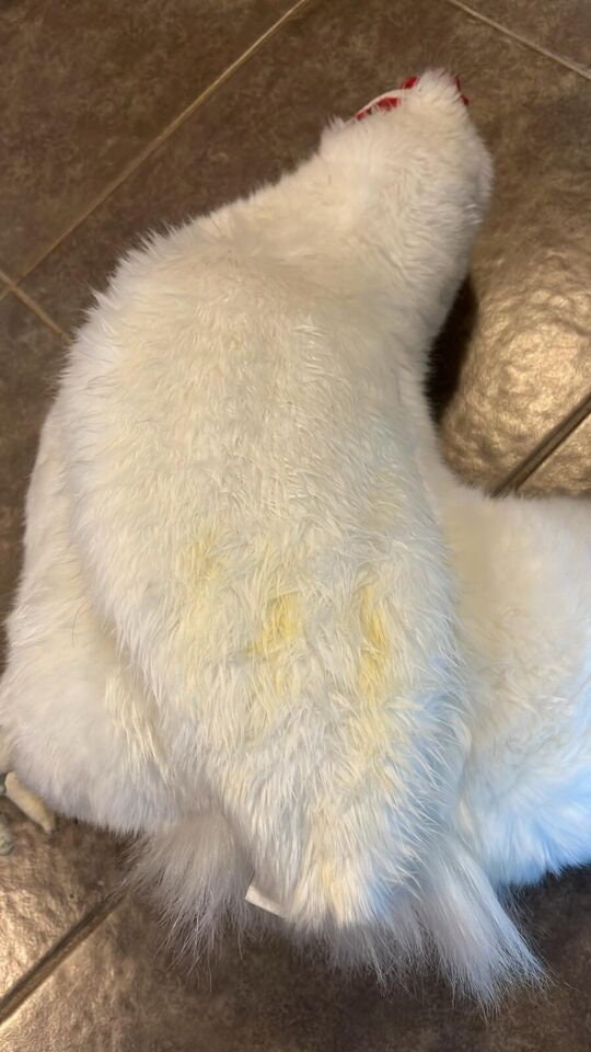 1993 Hansa White Hen Chicken Plush Soft Toy Bird READ - Etsy