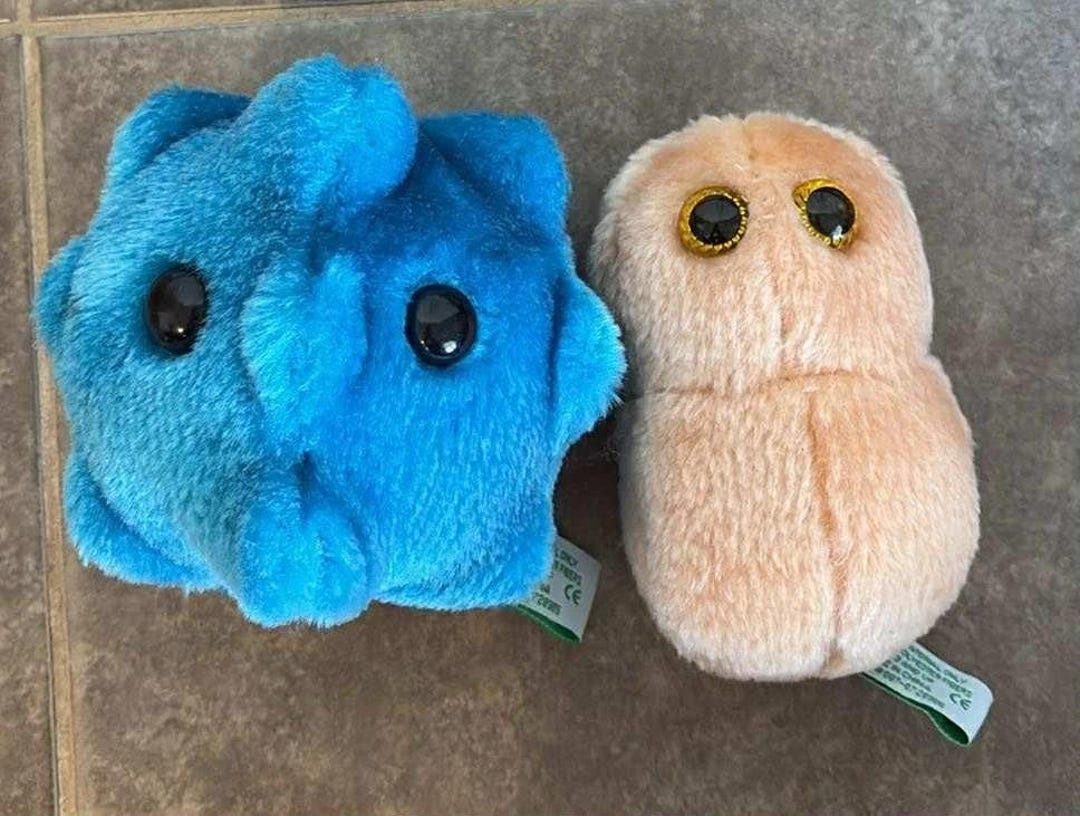 Vintage Giant Microbes Common Cold and Ear Ache Plush Toys - Etsy