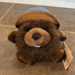 The Stuffed Animal House Beaver 4" Plush Canadian Beavers Scouts - Etsy