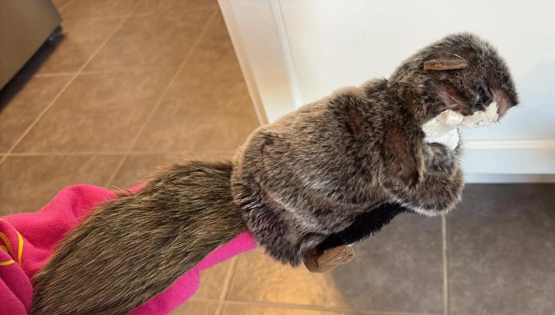 Folkmanis Flying Squirrel Hand Puppet - Etsy