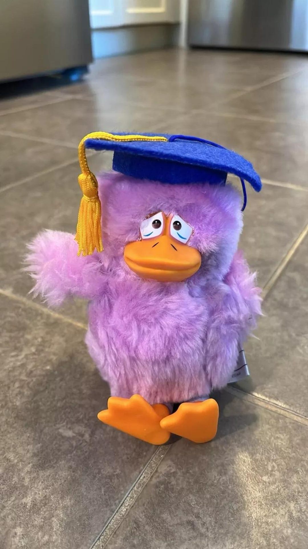 Russ 1980 Lester the Looney Bird Graduation Cap Plush 7" Purple Bird - Etsy