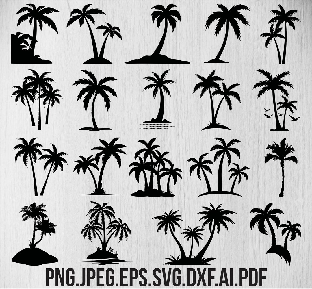 Palm Tree SVG Bundle Palm Tree PNG Bundle Palm Tree Clipart Palm Tree ...